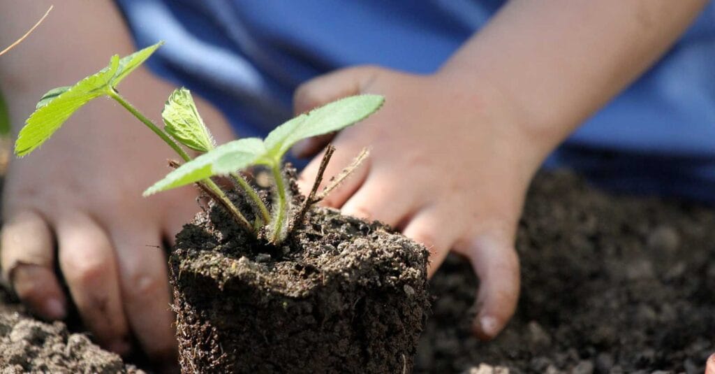Cosa piantare in primavera nell'orto e nel giardino. - Agendaonline.it